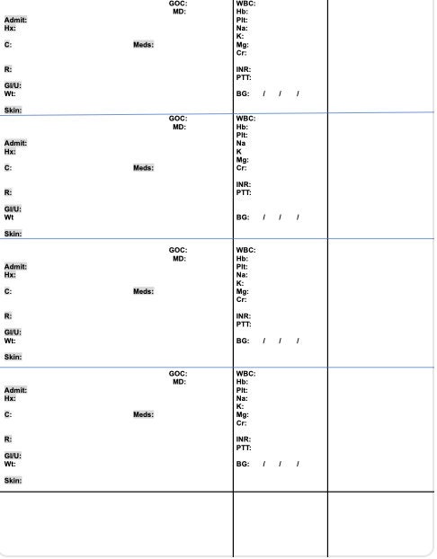 Printable Report Sheets 4 Patients - Etsy