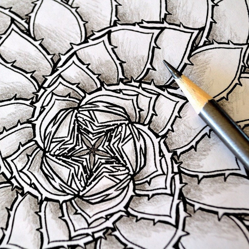 Aloe Polyphylla - See the Grace Instead of the Little Prickles - Sacred ...