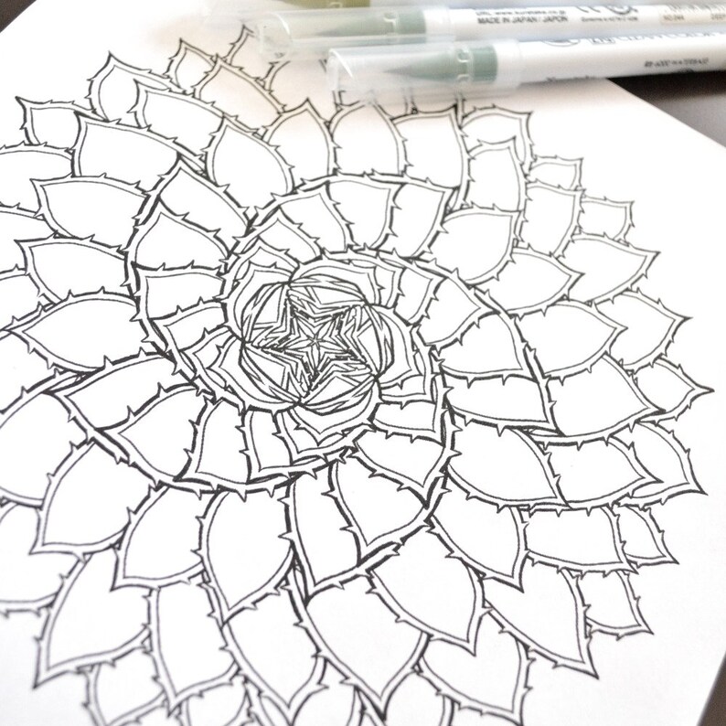 Aloe Polyphylla - See the Grace Instead of the Little Prickles - Sacred ...