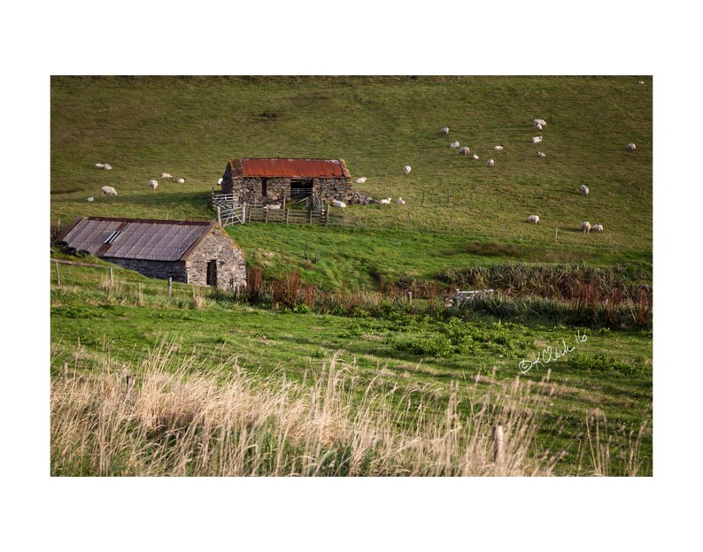 Stone Sheds Fine Art Photography Shetland Scotland Farm Rural Sheep ...
