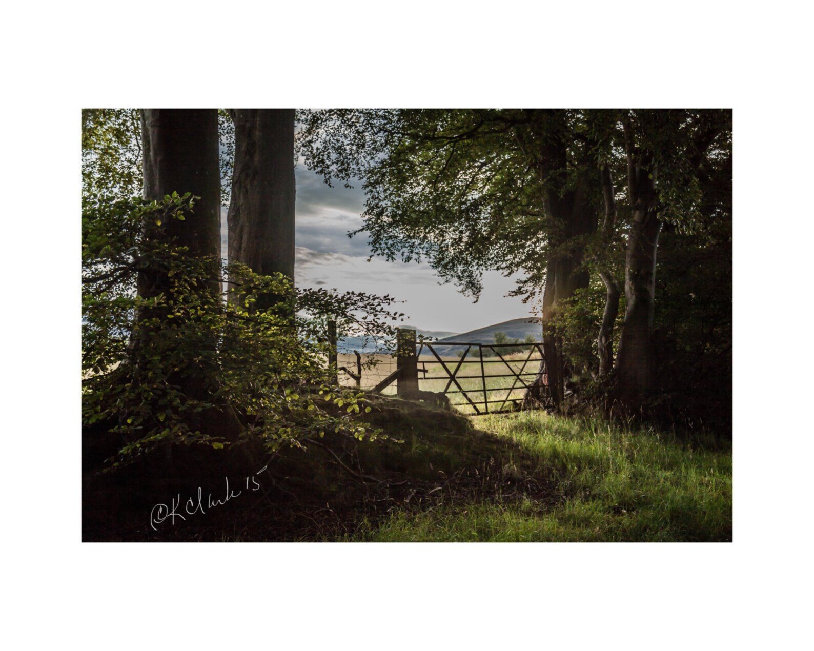 The Pasture Gate Fine Art Photography Scotland Landscape Rural Dreamy ...