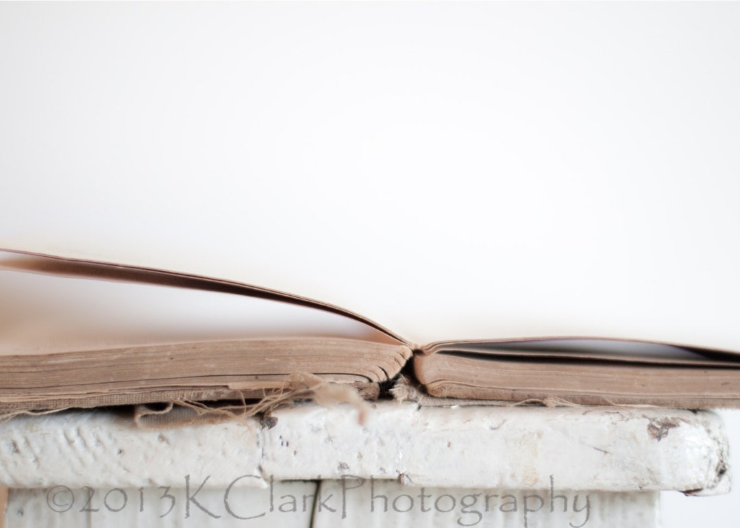 Open Book 5x7 Signed Photo Dream Feminine Reading Library Bookish Decor ...