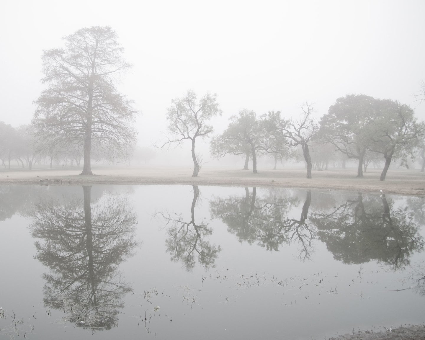 Pond Reflections 16x20 Fine Art Photograph of a Winter White Pond Full ...