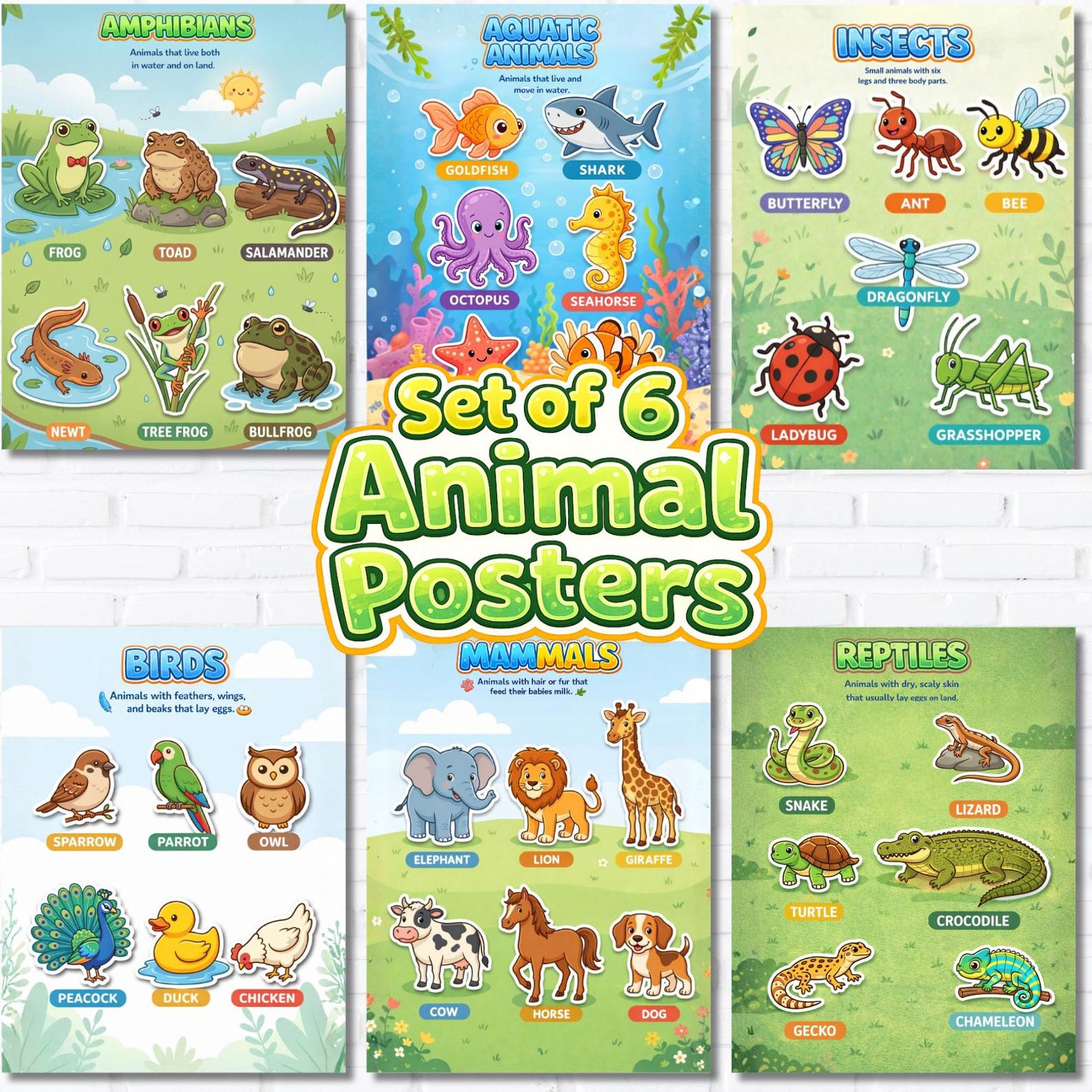 Set of 6 Animal Classification Posters – Kids Science Learning Charts ...