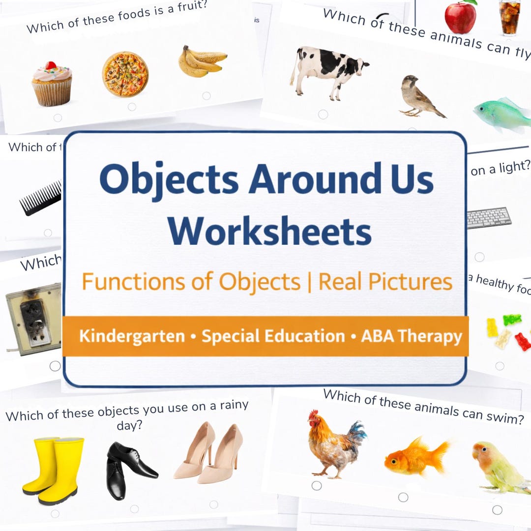 Objects Around Us Worksheets | Functions Real Pictures (kindergarten ...