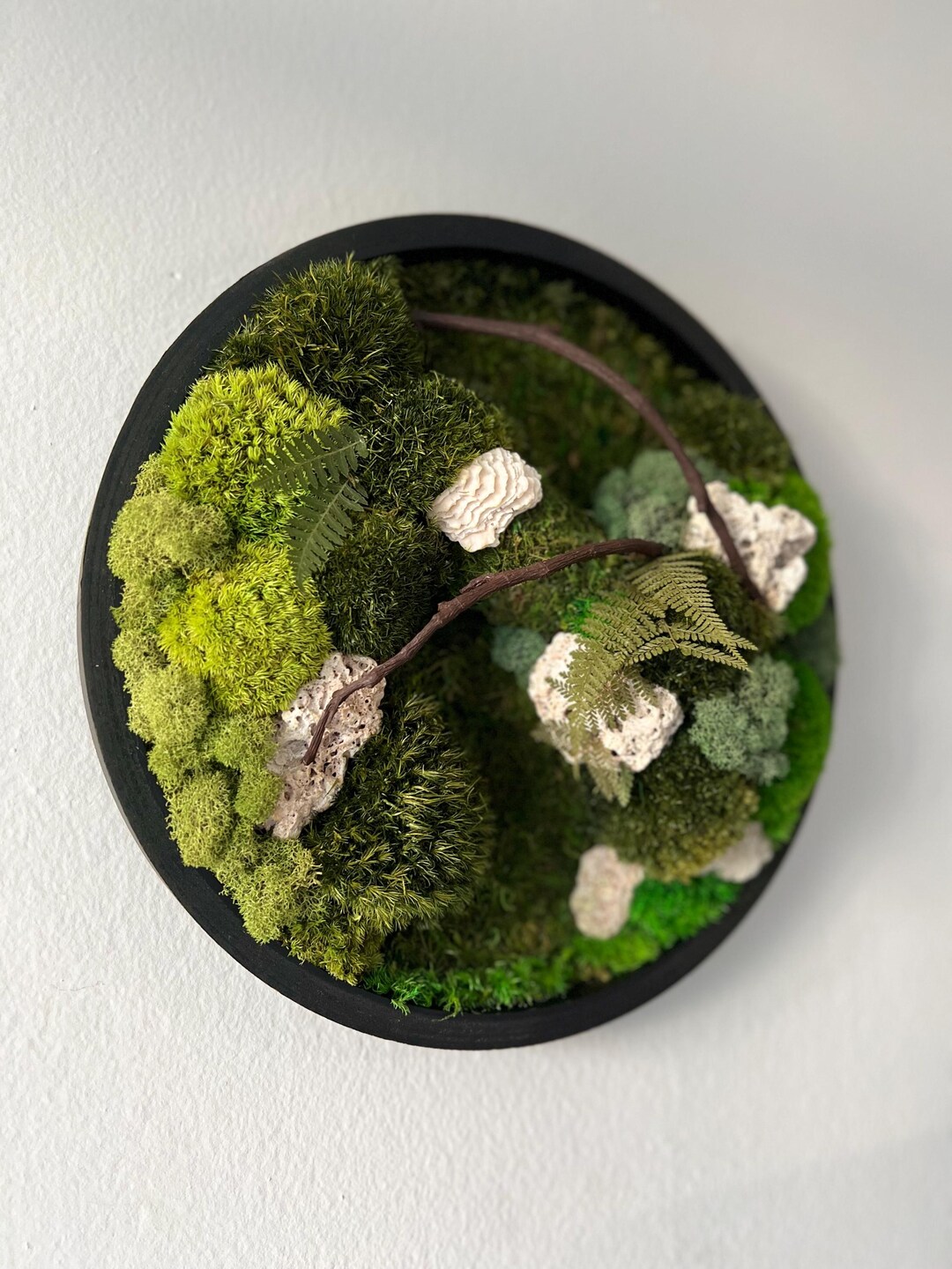 Preserved Moss Art. Moss Wall Decor. Circular Moss Art. Moss and Wood ...