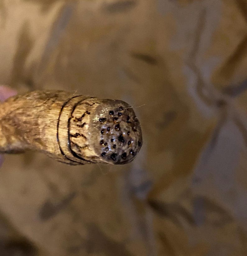 80% British Hand-carved, Engraved, Wood-burn Accented Wand With Mounted ...