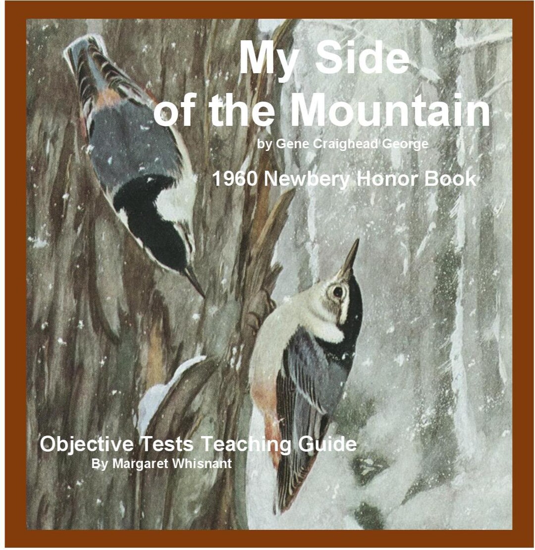 My Side of the Mountain Tests: Chapter Quizzes & Answer Keys - Etsy