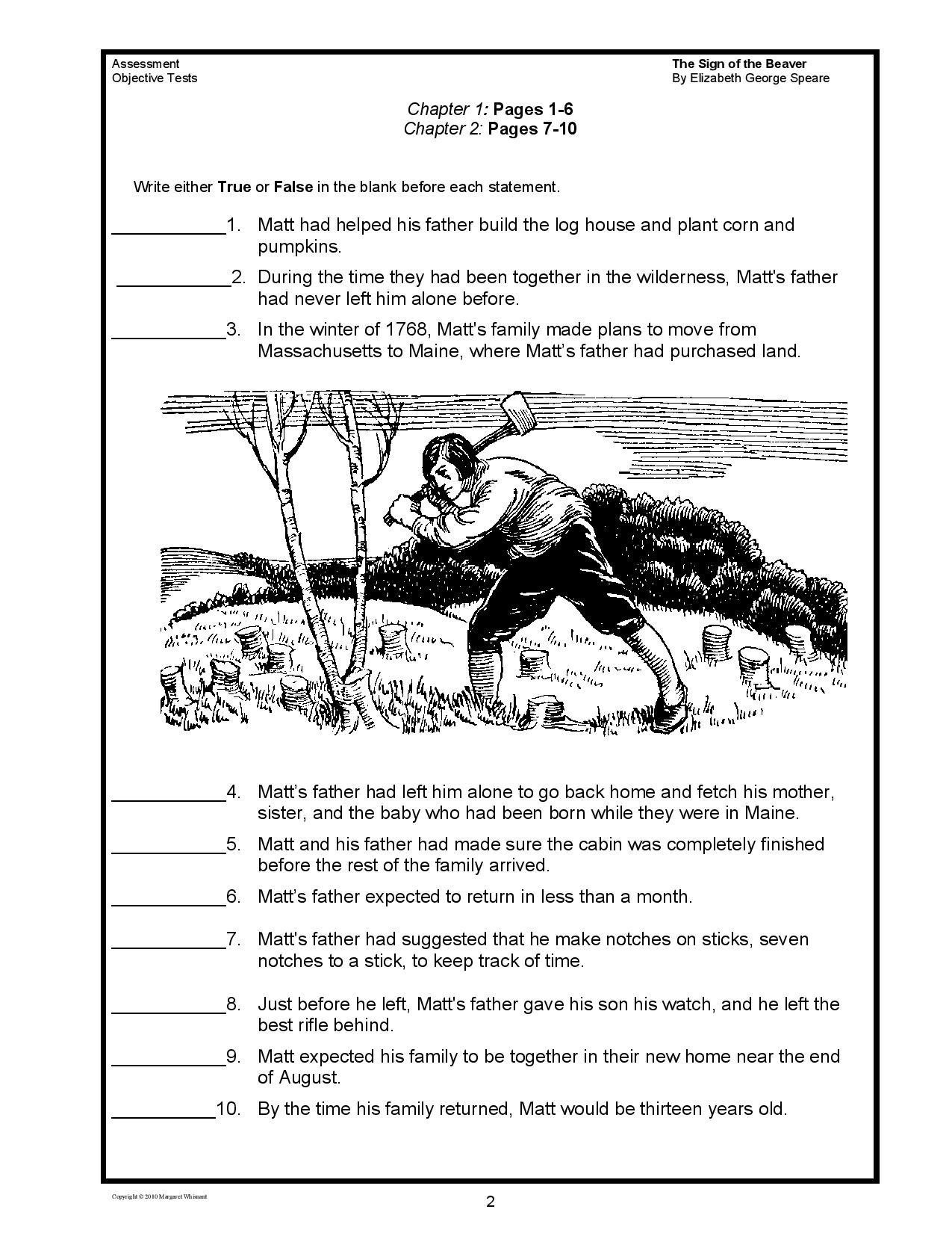 The Sign of the Beaver Teaching Guide: Chapter Summaries & Tests - Etsy
