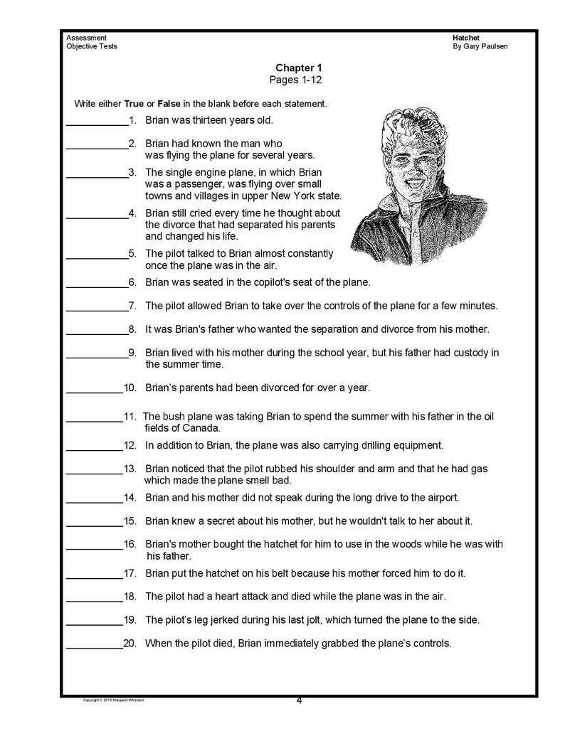 Hatchet A Novel Study Guide - Etsy