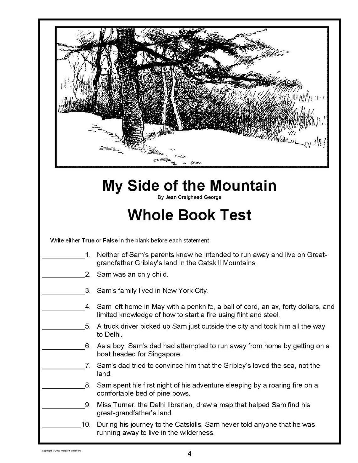 My Side of the Mountain Tests: Chapter Quizzes & Answer Keys - Etsy