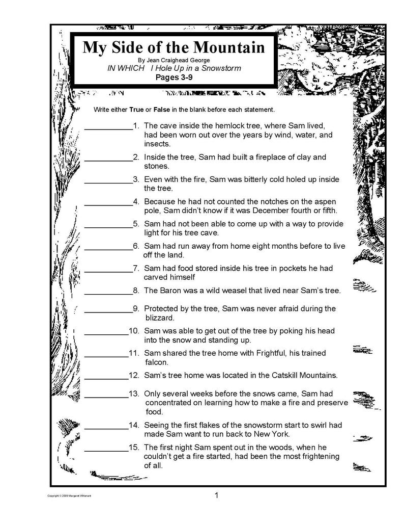 My Side of the Mountain Tests: Chapter Quizzes & Answer Keys - Etsy