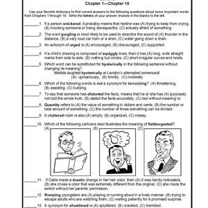 There's a Boy in the Girls' Bathroom Vocabulary Study With Word Lists ...