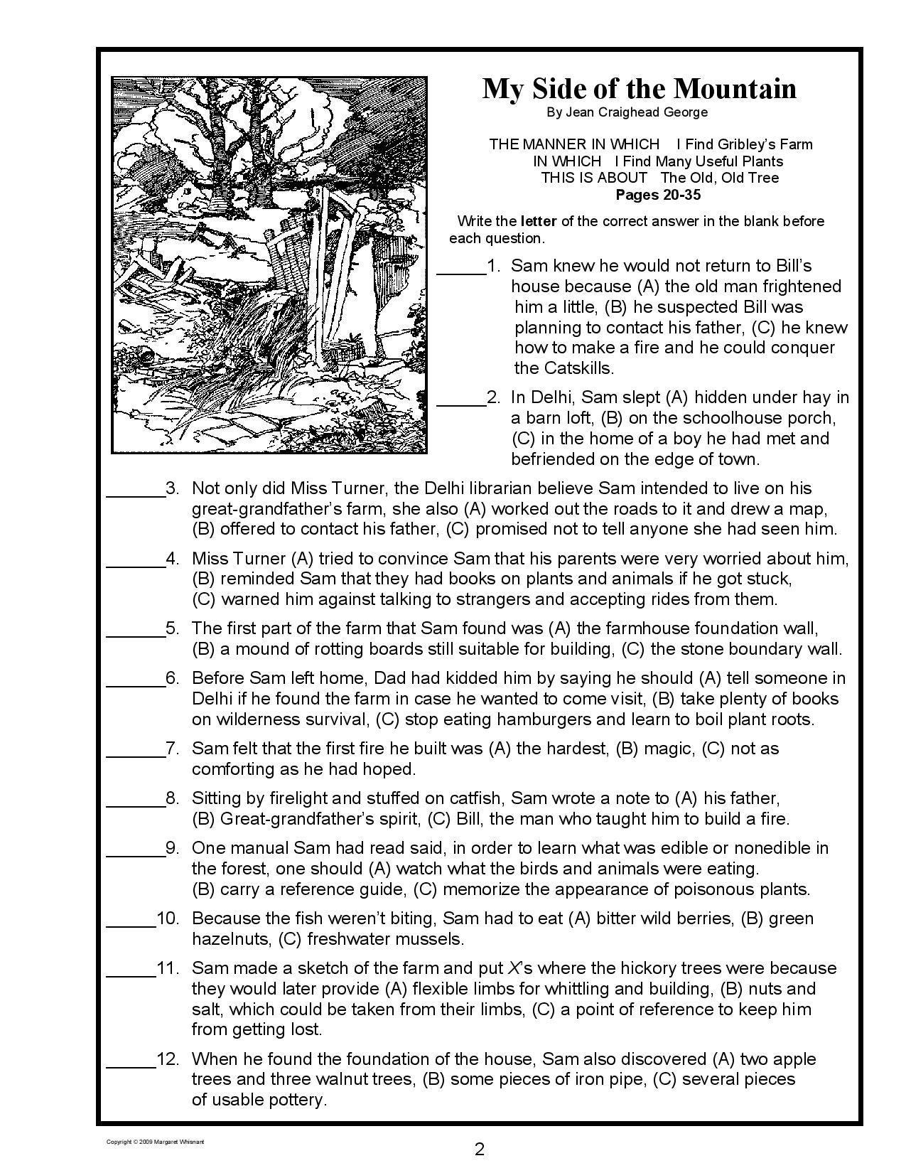 My Side of the Mountain Tests: Chapter Quizzes & Answer Keys - Etsy