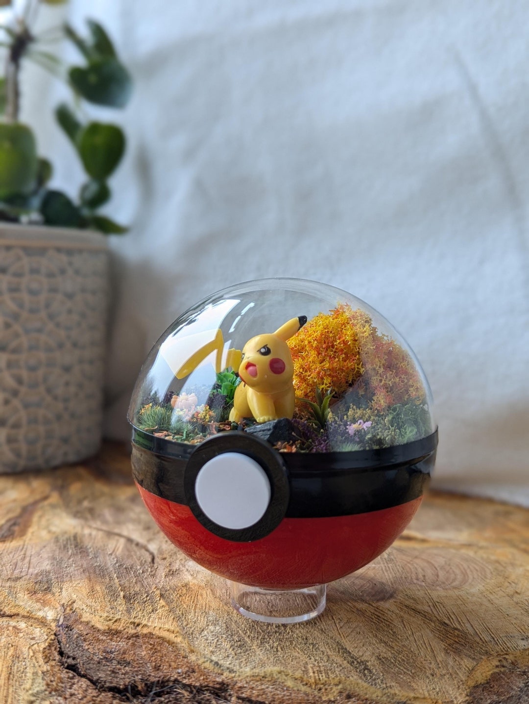 Pikachu Pokeball Autumn Forest Handmade Pokemon Terrarium. Homemade ...