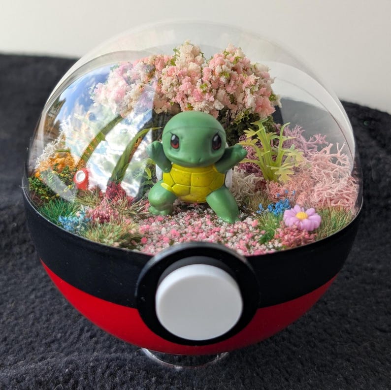 Squirtle Pokeball Handmade Pokemon Terrarium. Homemade, Diarama ...