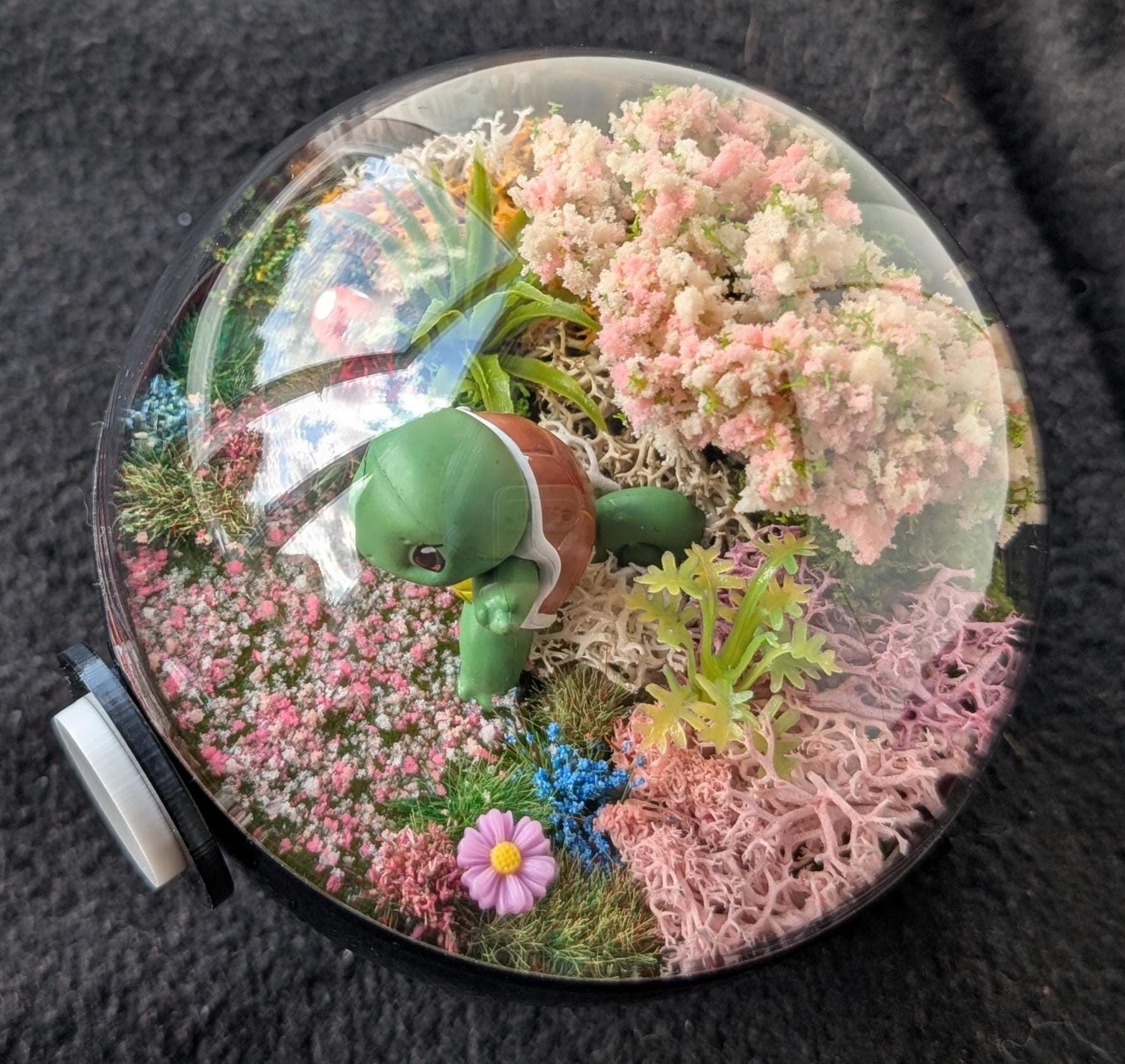 Squirtle Pokeball Handmade Pokemon Terrarium. Homemade, Diarama ...