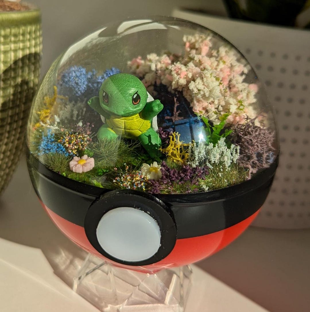 Squirtle Pokeball Handmade Pokemon Terrarium. Homemade, Diarama ...