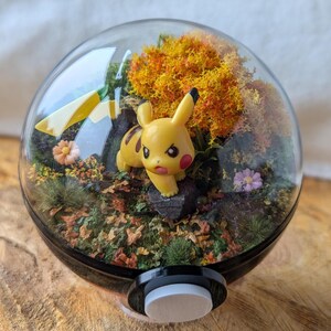 Pikachu Pokeball Autumn Forest Handmade Pokemon Terrarium. Homemade ...