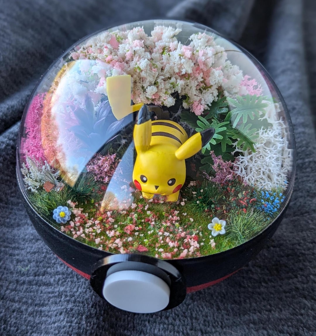 Pikachu Pink Pokeball Handmade Pokemon Terrarium. Homemade, Diarama ...