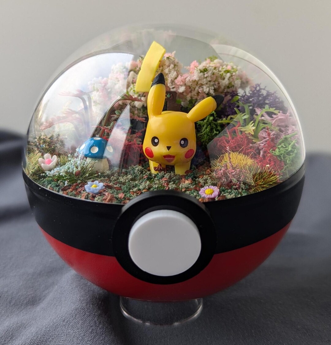 Pikachu Woodland Pokeball Handmade Pokemon Terrarium. Homemade, Diarama ...