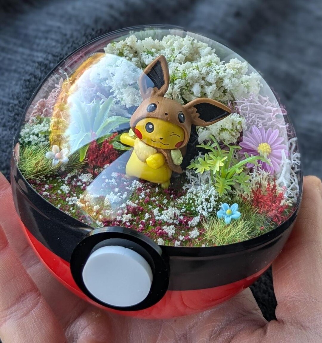 Pikachu Eevee Purple Pokeball Handmade Pokemon Terrarium. Homemade ...