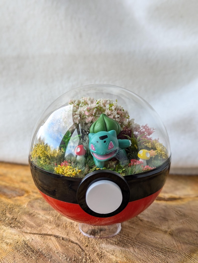 Bulbasaur Pokeball Handmade Pokemon Terrarium. Homemade, Diarama ...