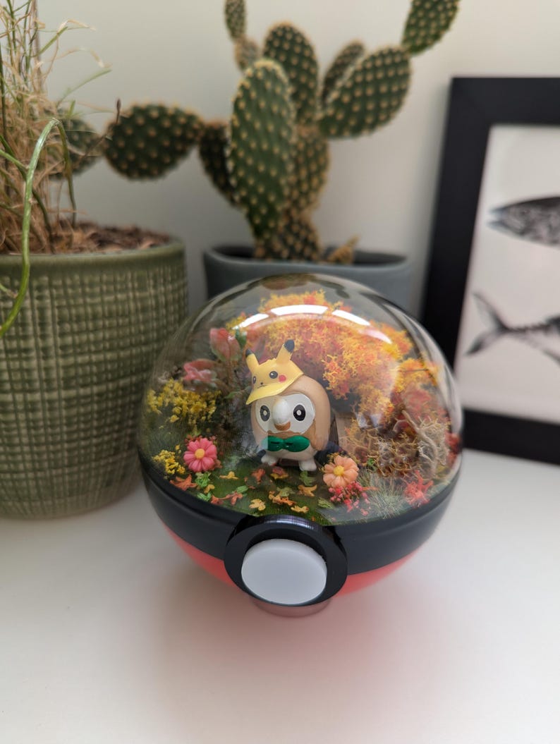 Rowlet Pokeball Handmade Pokemon Terrarium. Homemade, Diarama - Pikachu ...