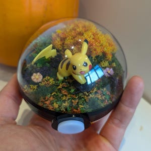 Pikachu Pokeball Autumn Forest Handmade Pokemon Terrarium. Homemade ...