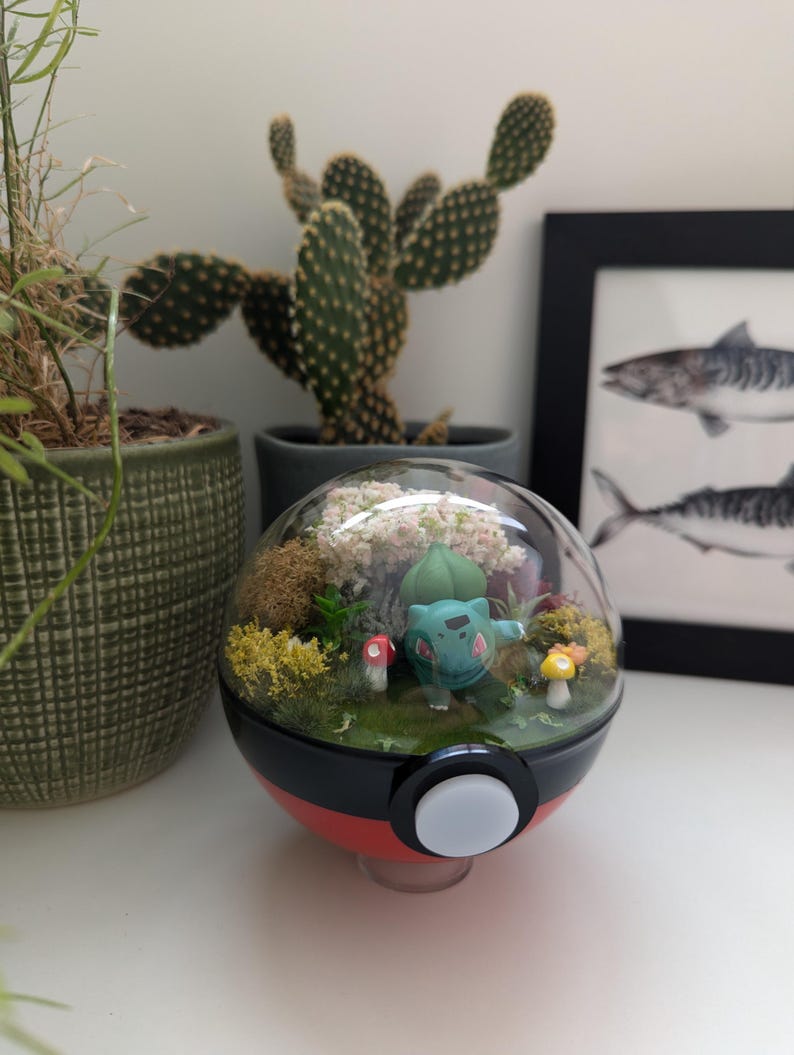 Handmade Pokemon Pokeball Terrarium. Homemade, Diarama, Pokeballs ...