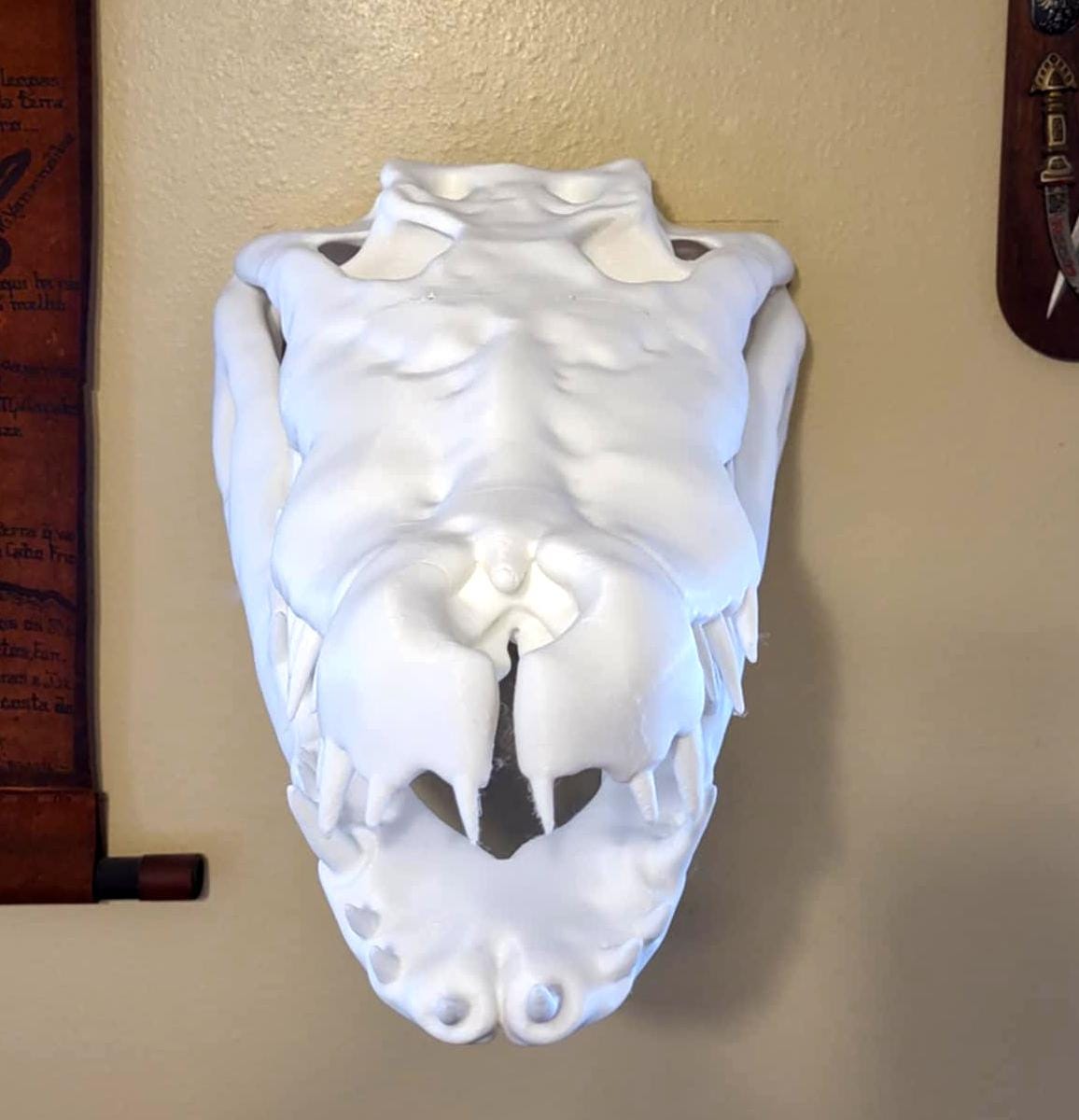 LARGE Crocodile Skull - Replica Animal Skull Art - Crocodile Bust ...