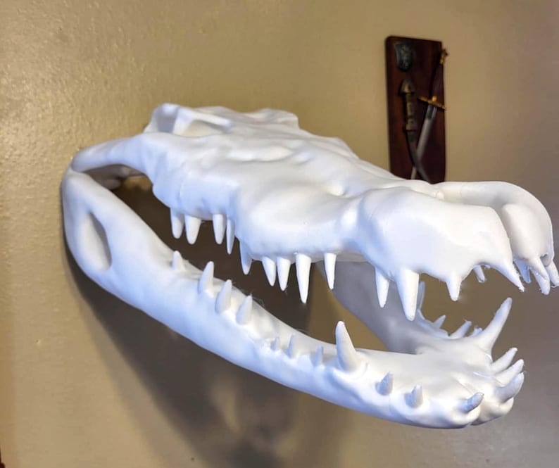 LARGE Crocodile Skull - Replica Animal Skull Art - Crocodile Bust ...