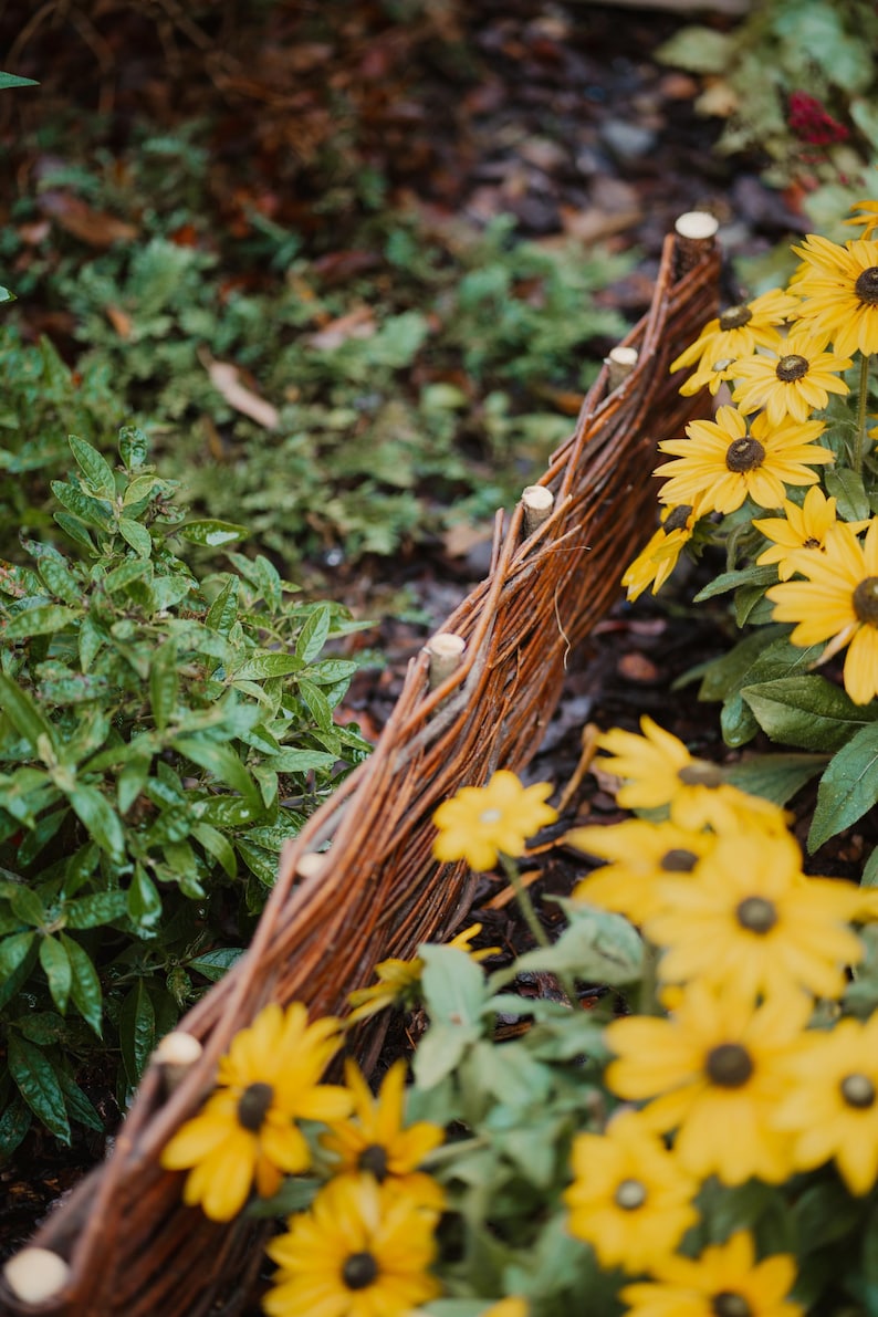 Set of 5 Handwoven Wicker Garden Fences – Natural Decorative Palisade ...