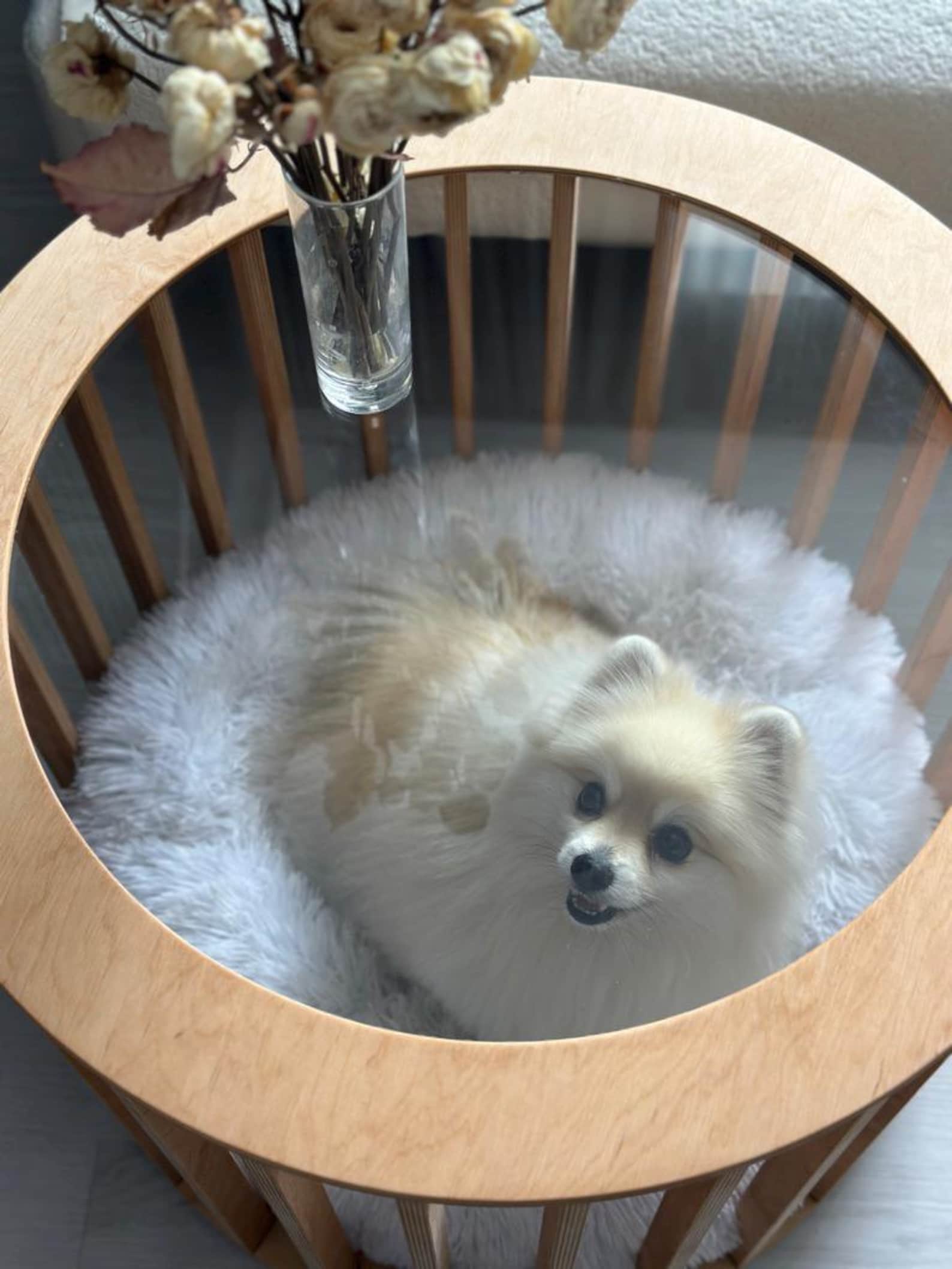 Modern Dog House Coffee Table: Minimalist Scandinavian Pet Furniture - Etsy