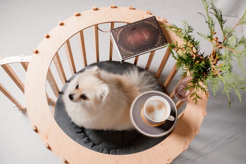Modern Coffee Table Dog House: Light Wood Pet Crate - Etsy