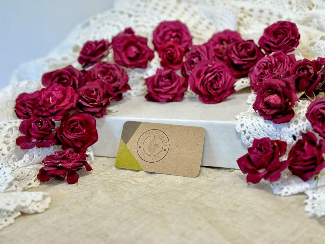 Freeze Dried Roses - Etsy