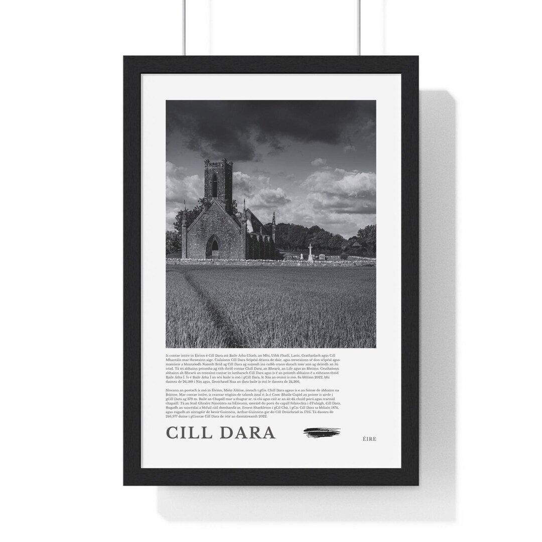 Framed Black and White Irish Poster | History of County Kildare in ...