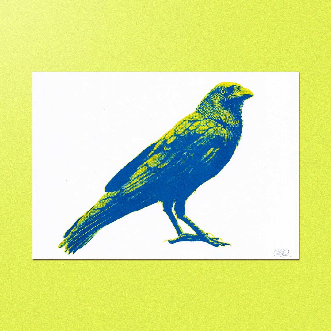 Australian Raven Illustration - Risograph Print A5 - Etsy