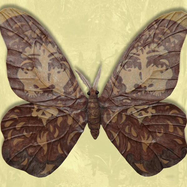 Moth Sculpture - Etsy