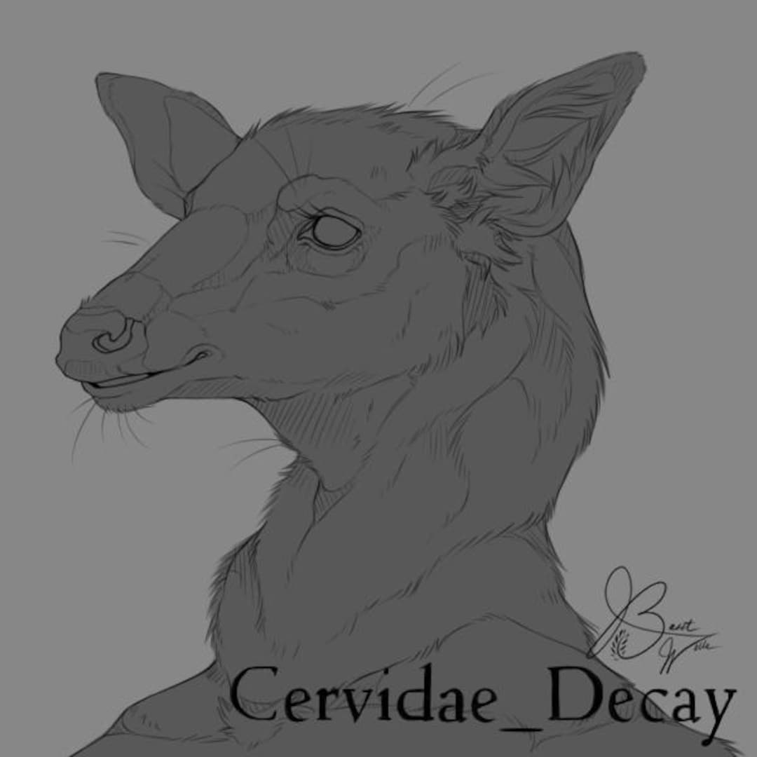 Doe White Tail Deer Furry / Anthro / Anthropomorphic Lineart Base for ...