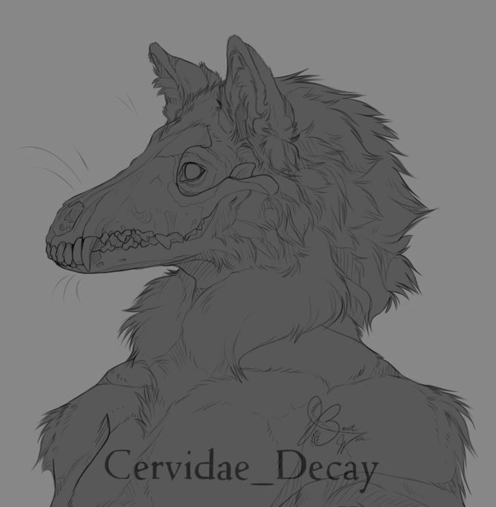 Skull Wolf / Dog / Canine Furry / Anthro / Anthropomorphic Lineart Base ...