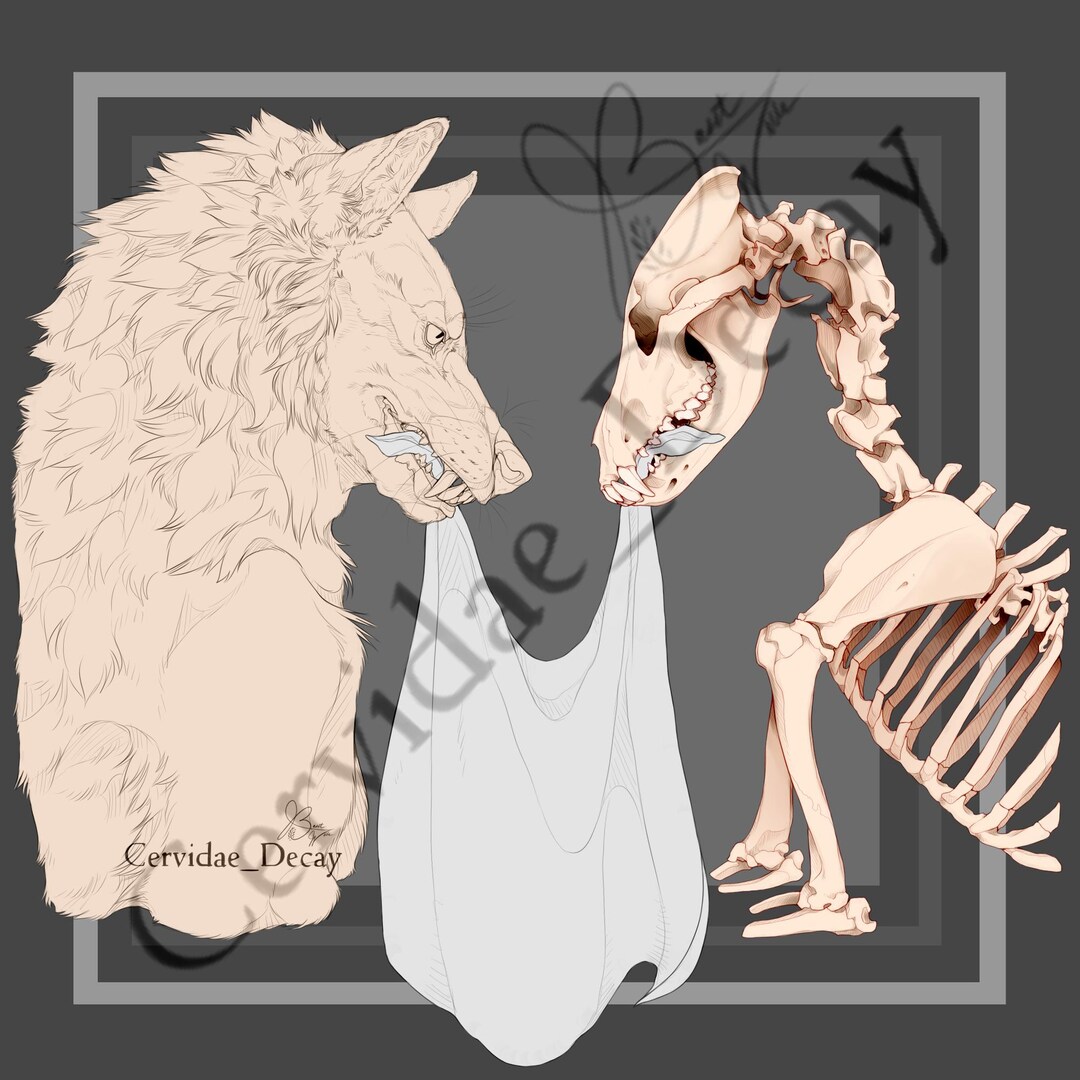 Animal / Furry Pride Flag Lineart Base Pack (canine and Skulldog ...