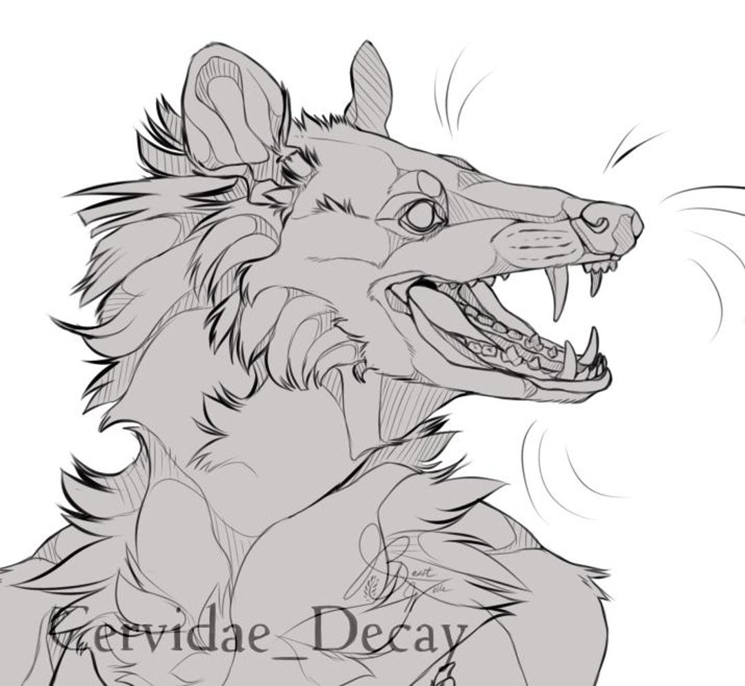 Opossum Furry / Anthro / Anthropomorphic Lineart Base for Personal and ...