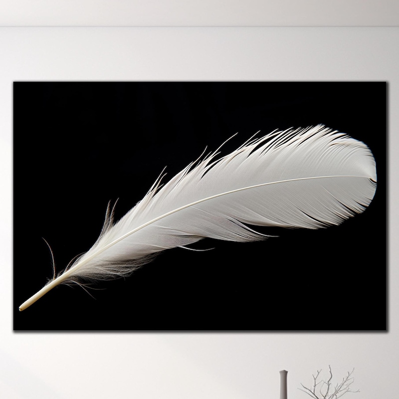 Feather Prints Wall Art - Etsy