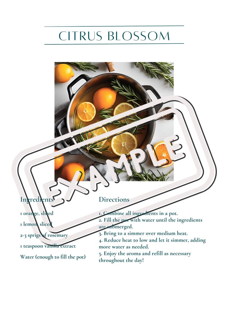 The Simmer Pot - 20 Recipes for Every Season-printable PDF - Etsy