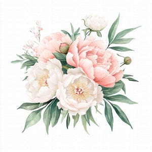 Peony Flower Clipart, Watercolor Peonies Illustration, Digital Flowers ...