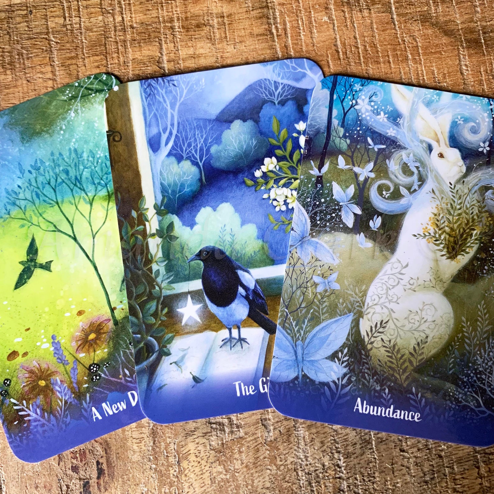 Earth Angels Message Cards 70 Cards by Amanda Clark & Animal - Etsy