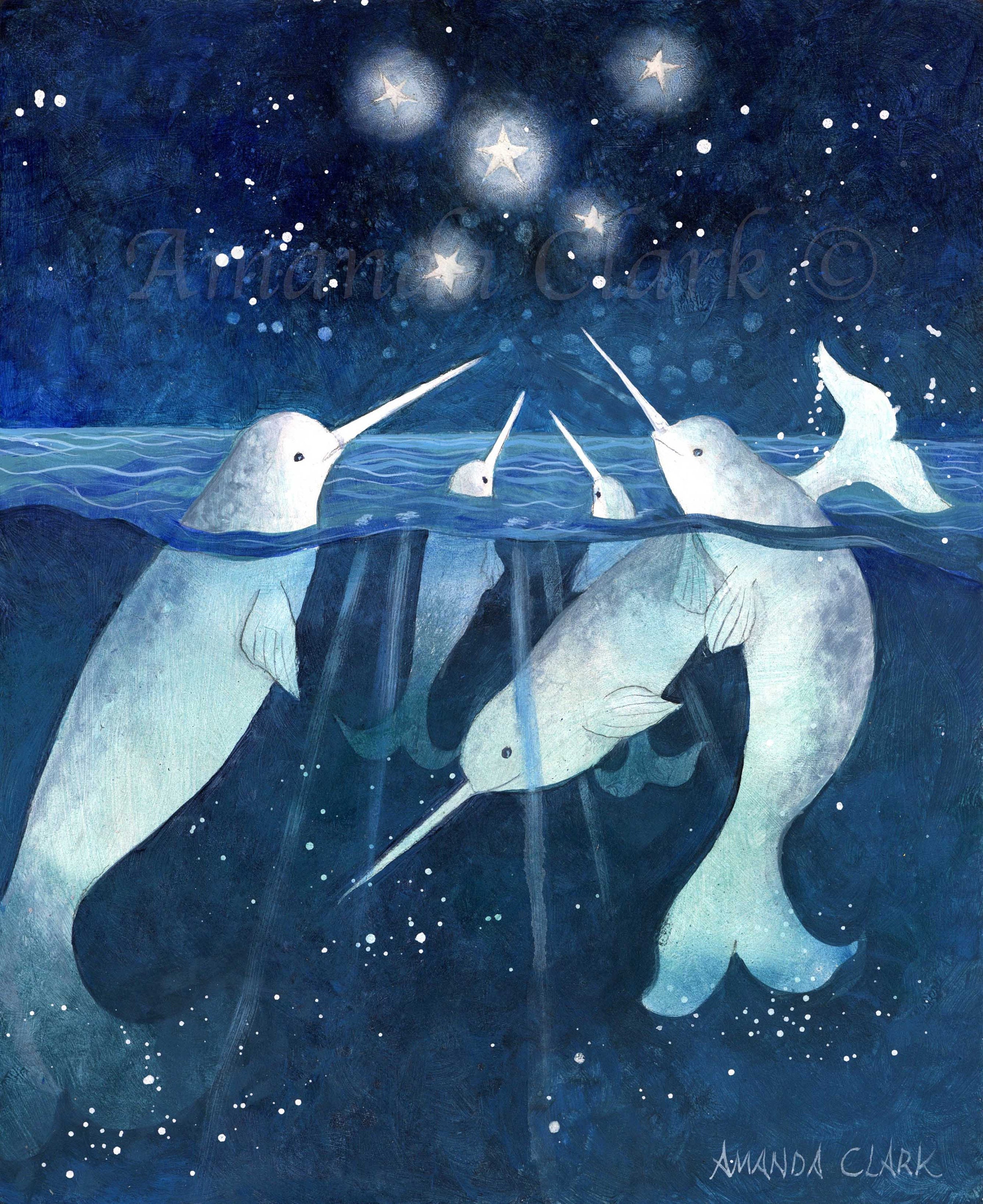 Narwhal Art