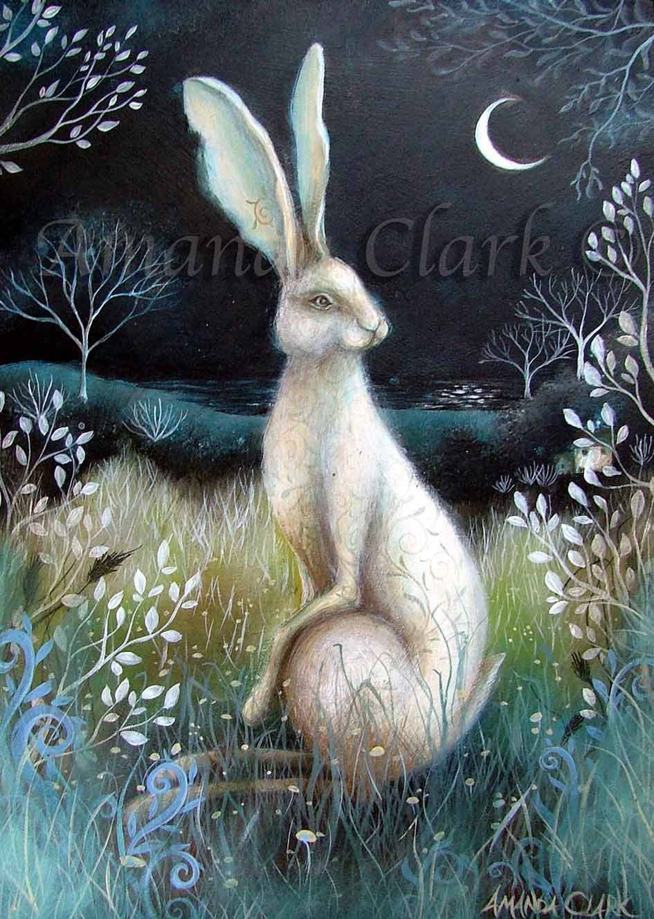 Mounted Print Titled hare by Night by Amanda Clark - Etsy Canada