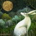 Limited Edition Giclee Print Titled night Fall by Amanda Clark Garden ...